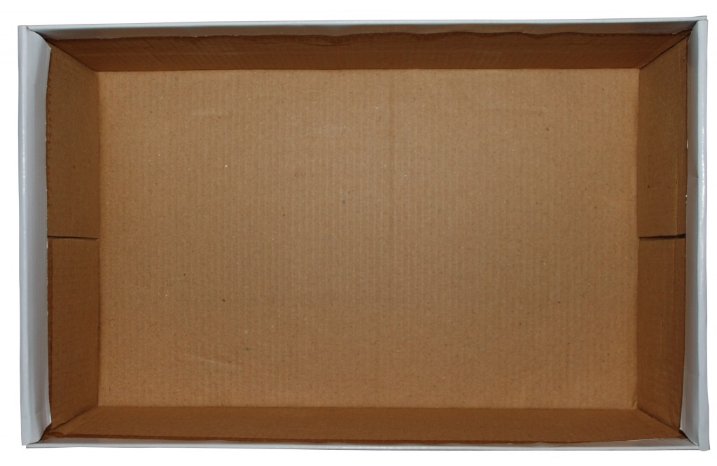 Cardboard Box28 Sycha Web Design And Development